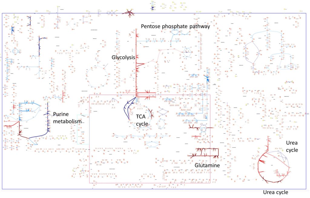 Metabolic Reconstruction Center For Systems Biology